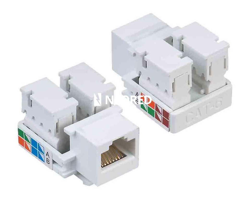 JACK RJ45 CAT6 KEYSTONE BLANCO | Neored