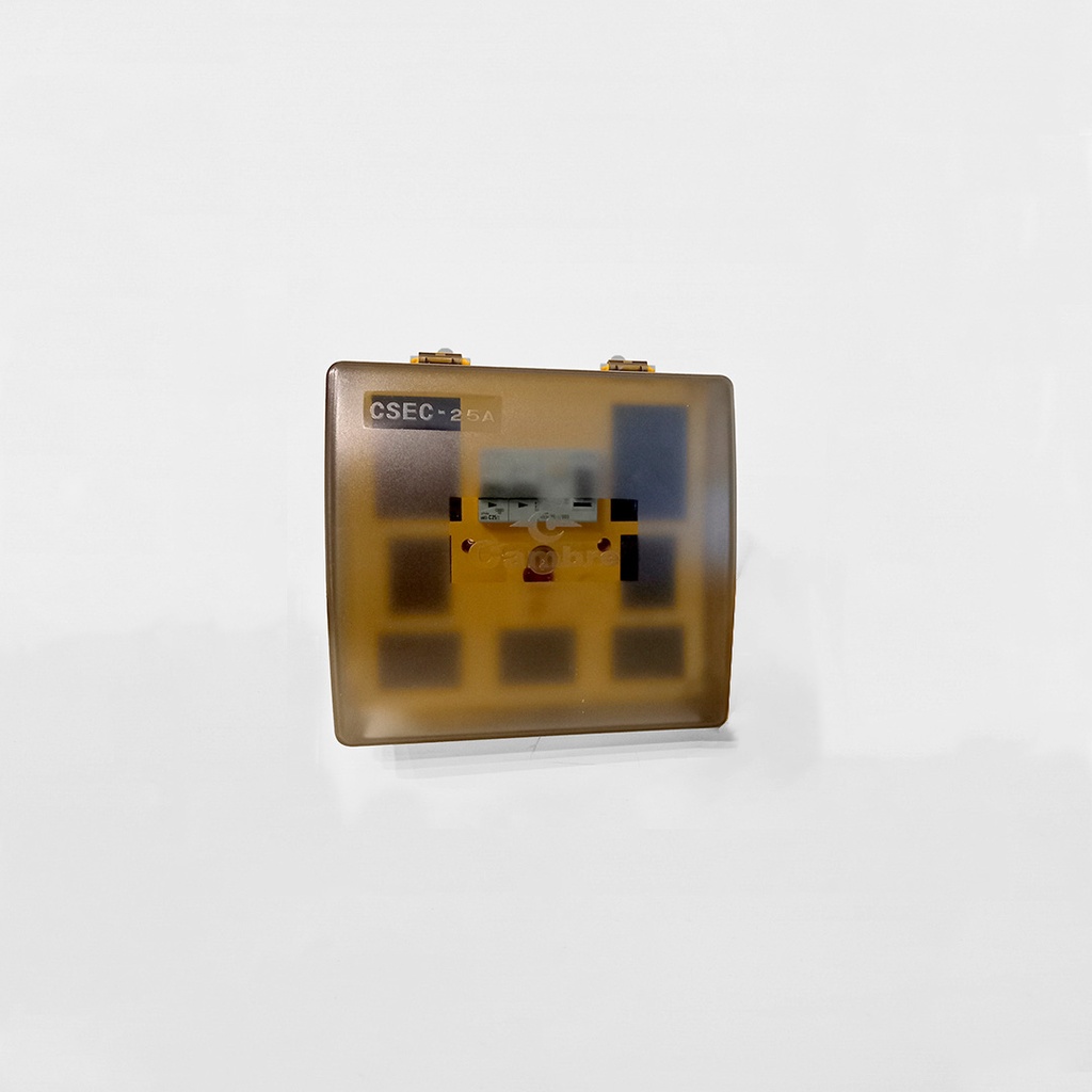 CENTRAL DE SEGURIDAD ELECTRICA - 25A.-2P. | Neored